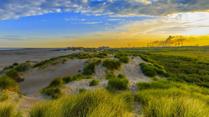 Officiële gemeentewebsite van de gemeente Beverwijk | Gemeente Beverwijk